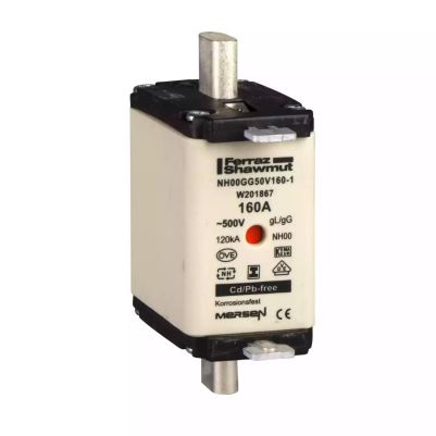 Buy DIN cartridge fuses DIN NH1 fuse type 690VAC 200A - Schneider Electric Egypt